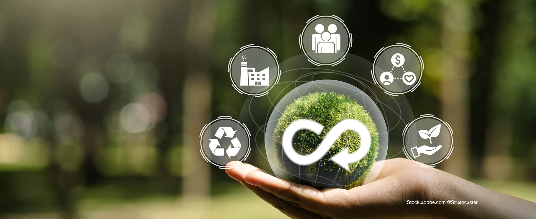 Économie Circulaire : Fonctionnement Et Avantages