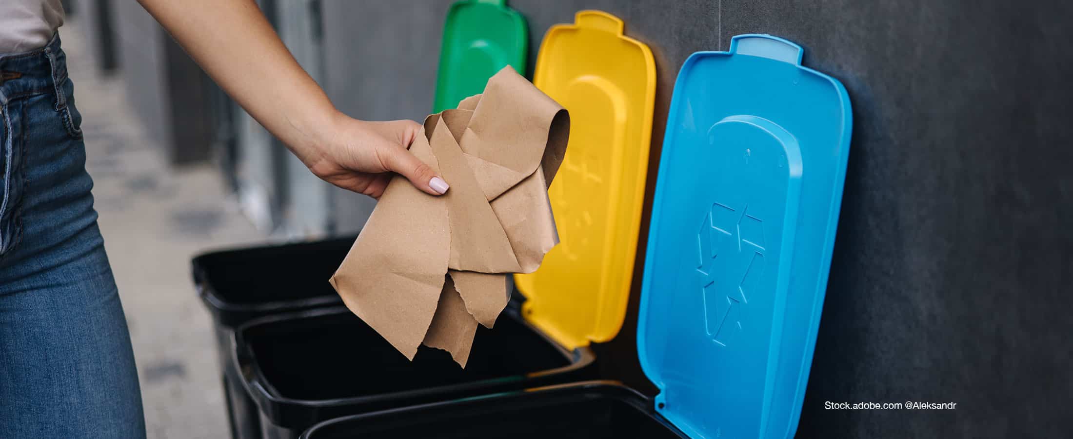 Tri Des Déchets : Comment S’organiser